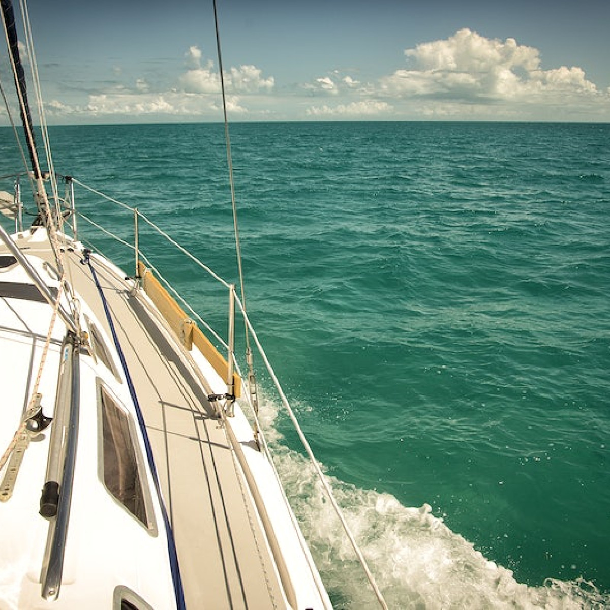 Navigating the Deep Ocean of Scientific Information: Introducing Open ...